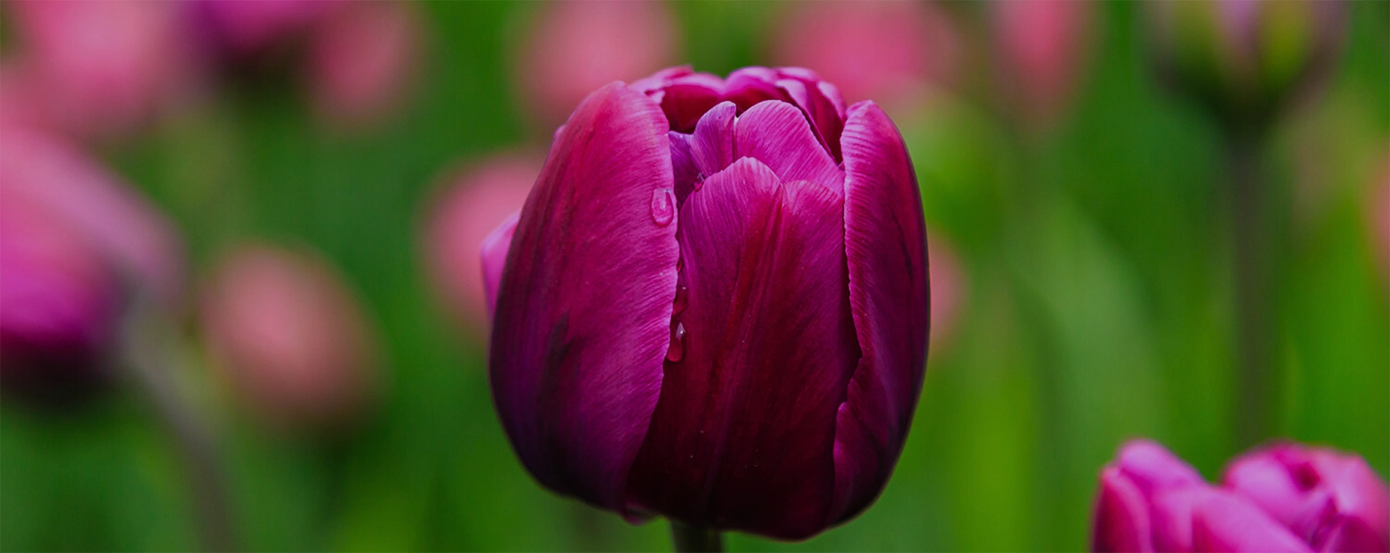 News & Blog - STEMS Wayland