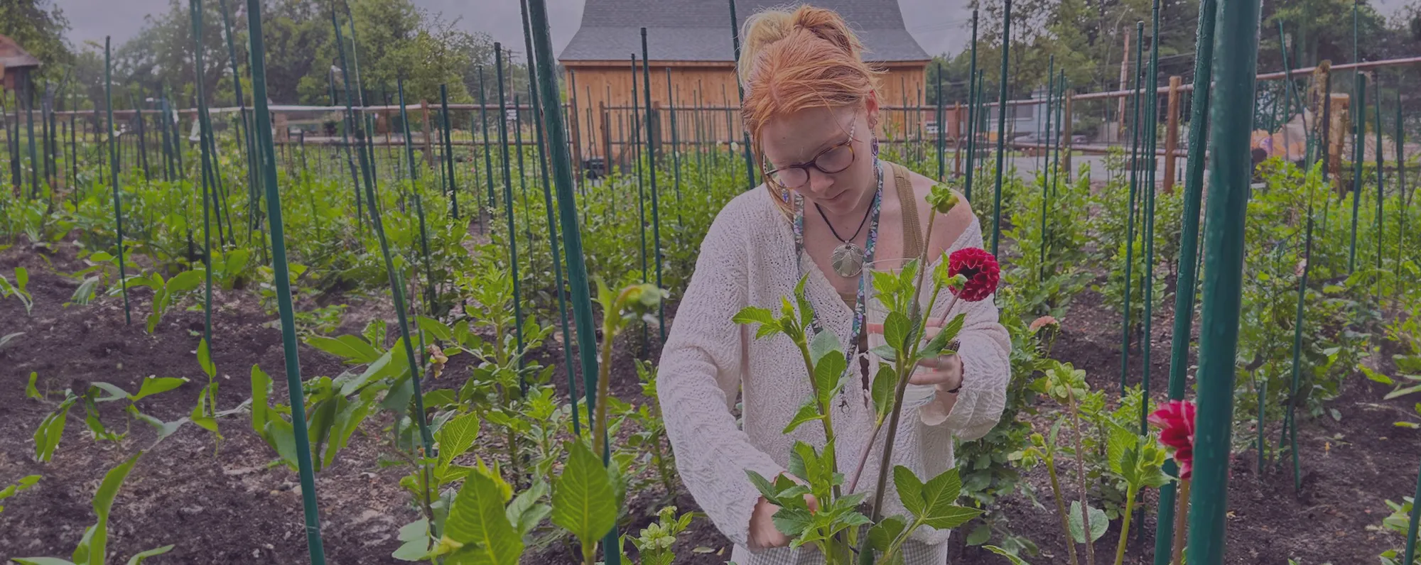 Shop - STEMS Wayland