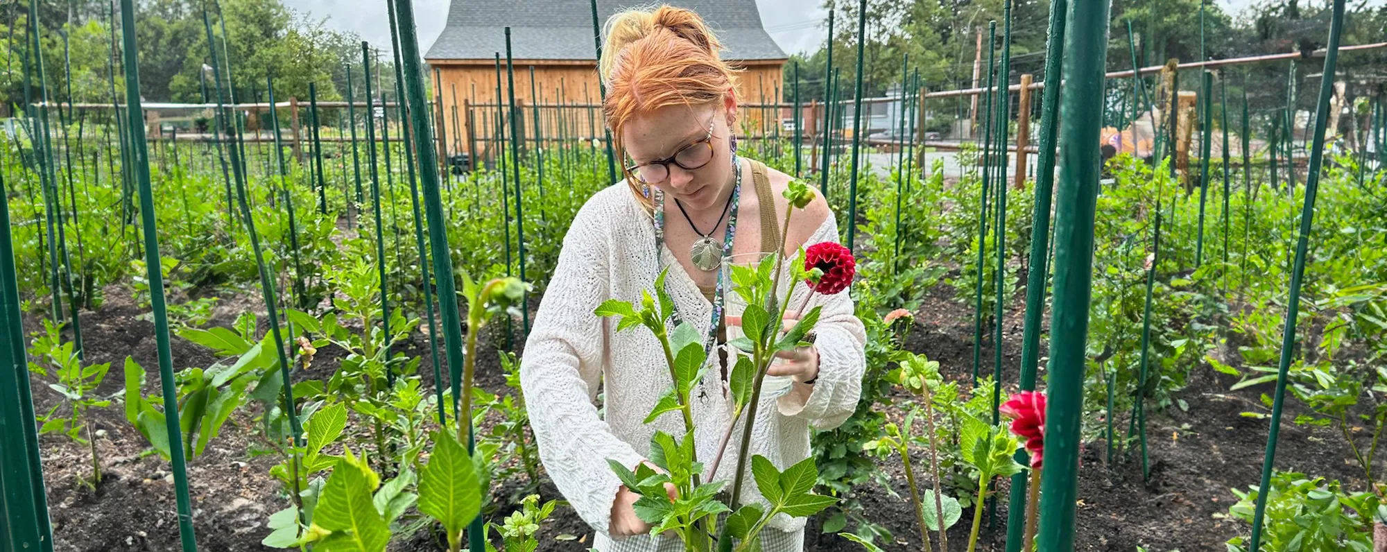 Student Farm Hand - Farming Assistant - STEMS Wayland